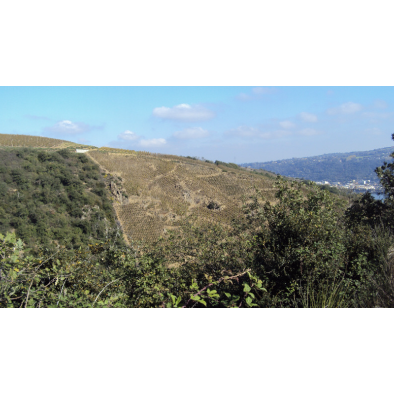 Côte Rôtie La Gérine A.François Rouge 2022