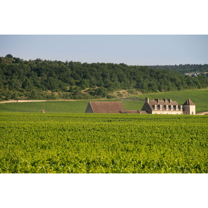 Marsannay Château de Marsannay 2022